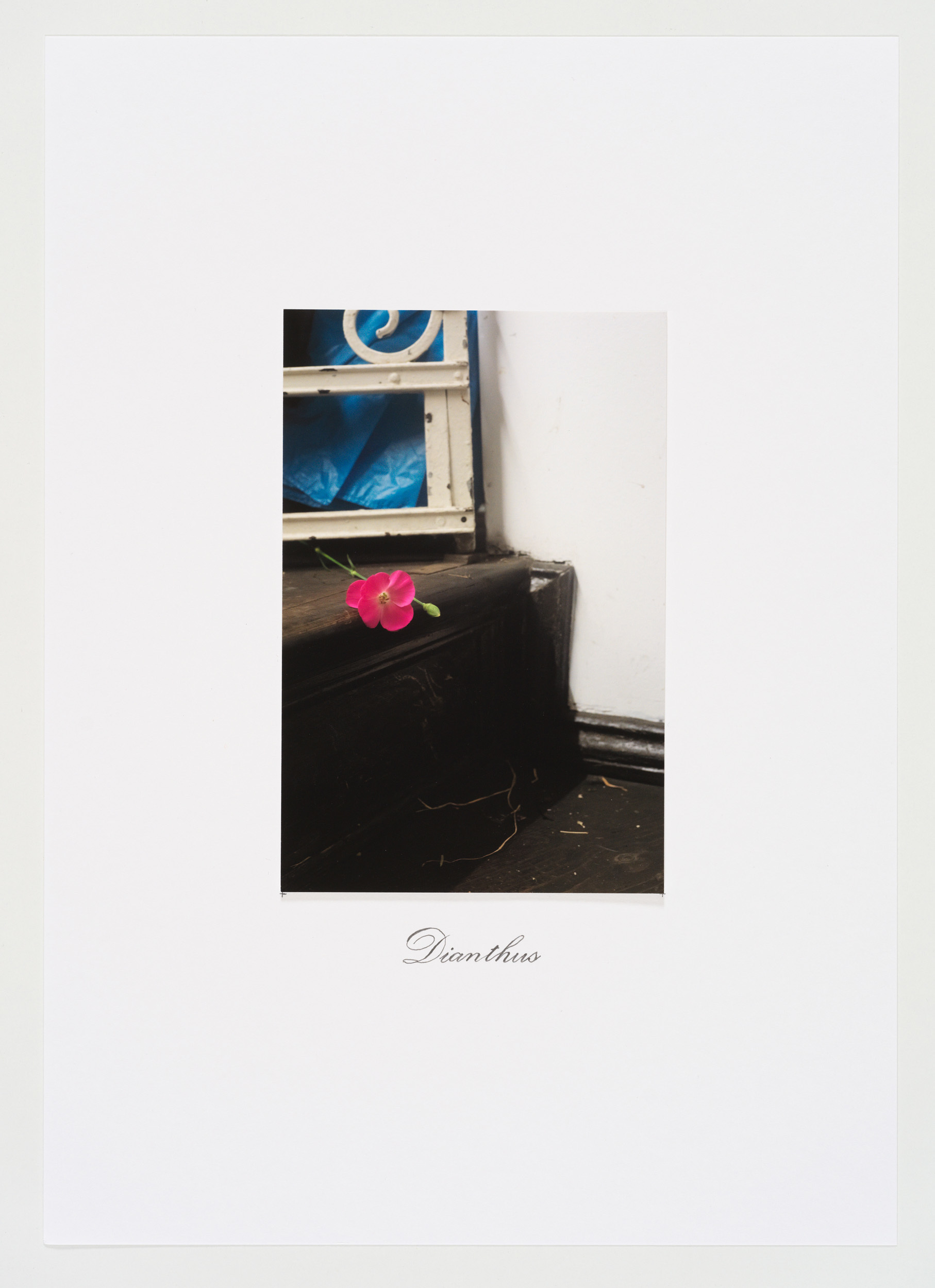 Wits’ End Mash (happy as a clam) | Xavier Hufkens