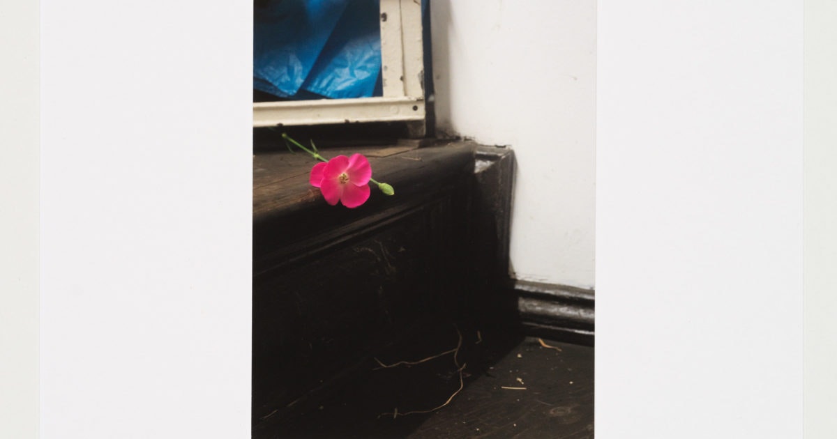 Wits’ End Mash (happy as a clam) | Xavier Hufkens