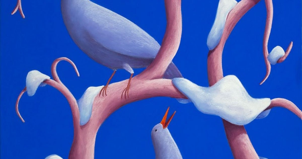 Birds Fighting for Worms | Xavier Hufkens